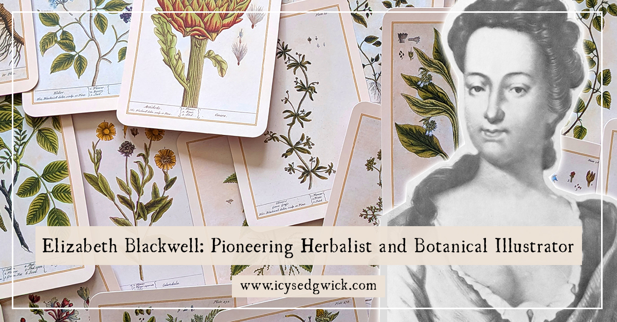 Elizabeth Blackwell: Pioneering Herbalist and Botanical Illustrator ...